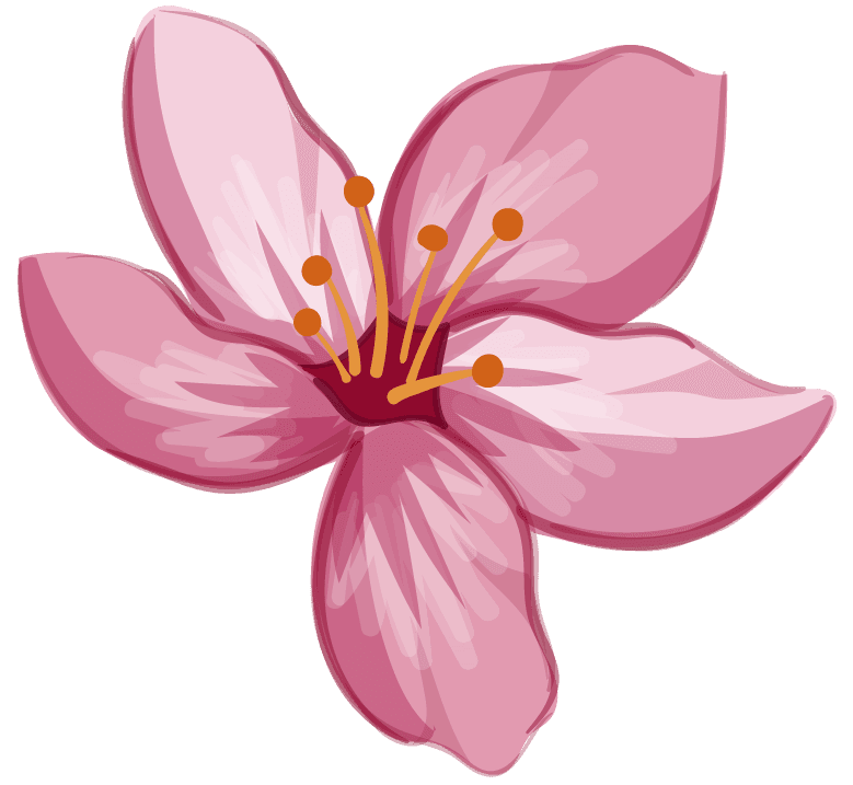 Profil Dahar Publications | Mengenai Kami